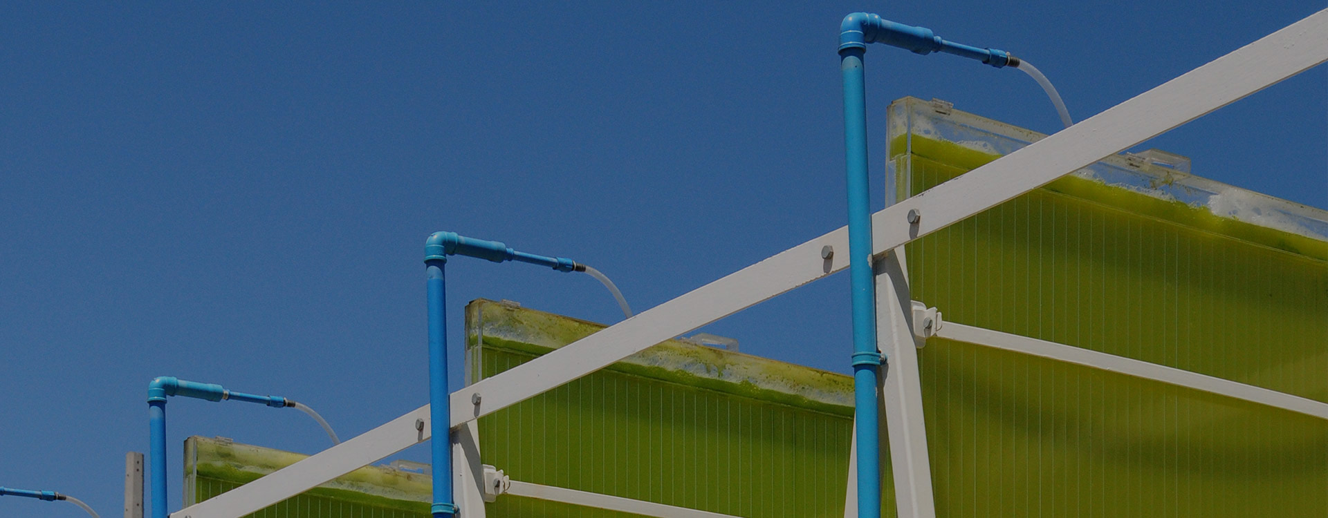 Carbon Biocapture – Helping carbon dependent industries