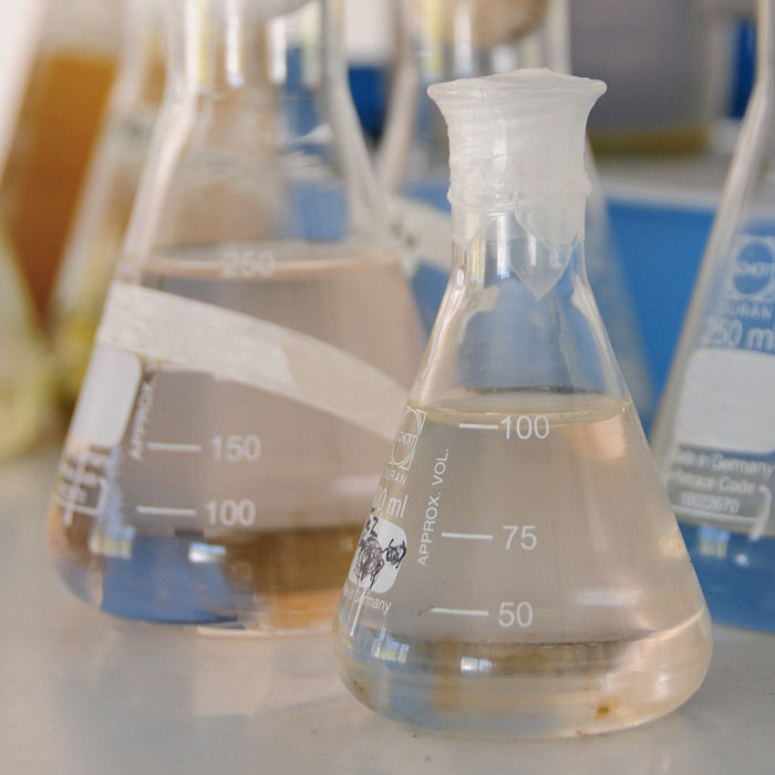 Carbon Biocapture – Helping carbon dependent industries