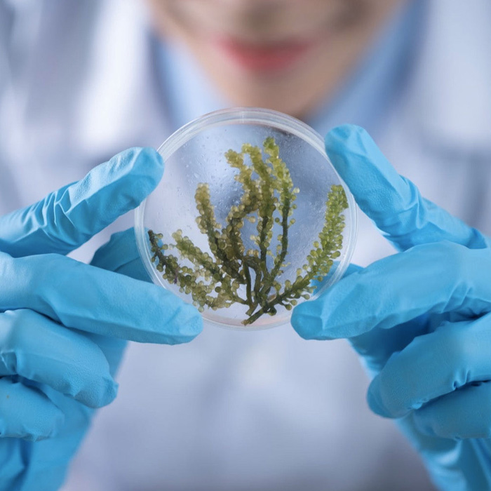 Carbon Biocapture – Helping carbon dependent industries