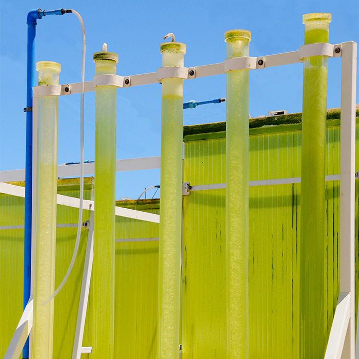 Carbon Biocapture – Helping carbon dependent industries